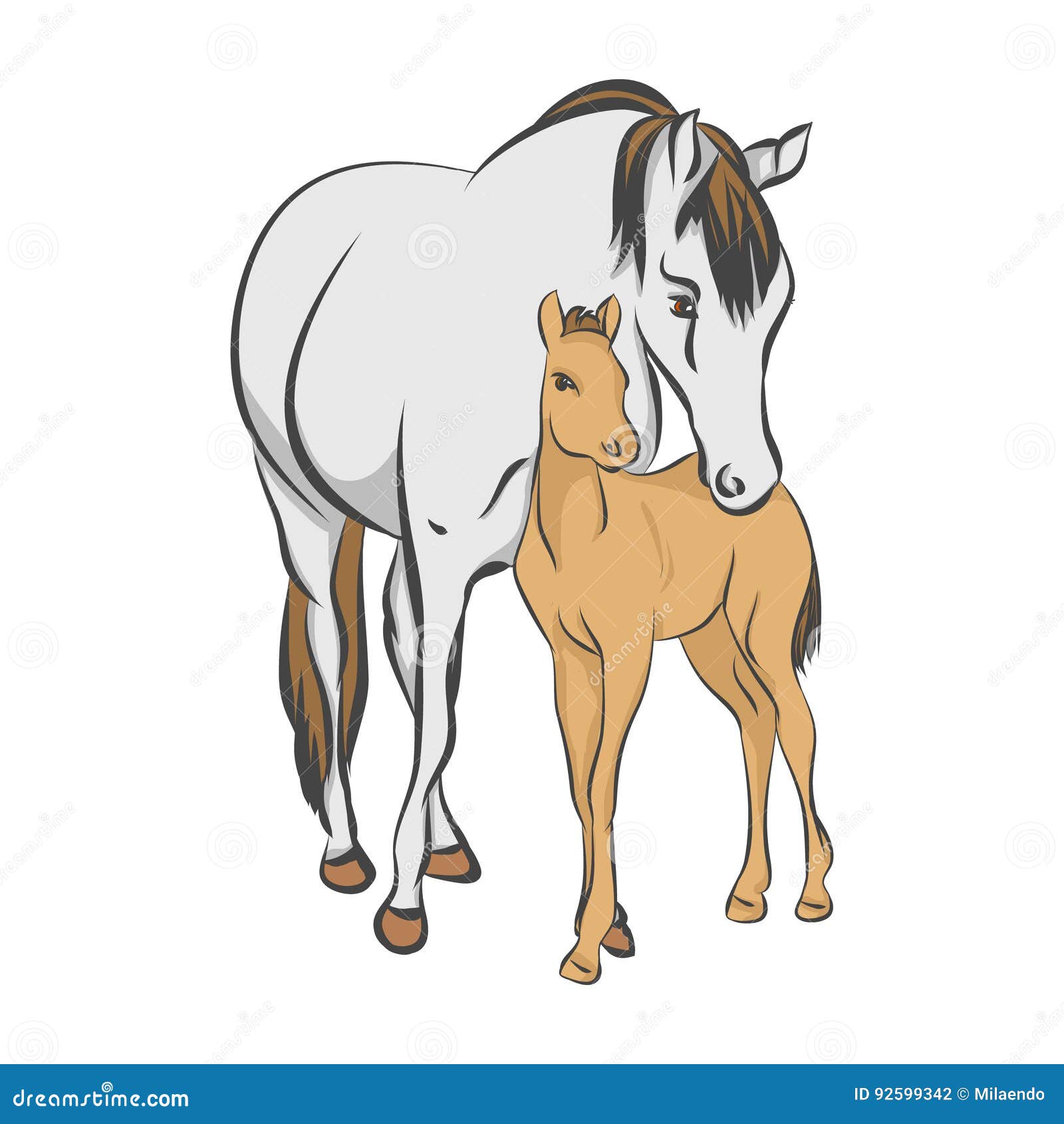 Der Grauschimmel Und Ihr Fohlen Vektor Abbildung - Illustration von ...