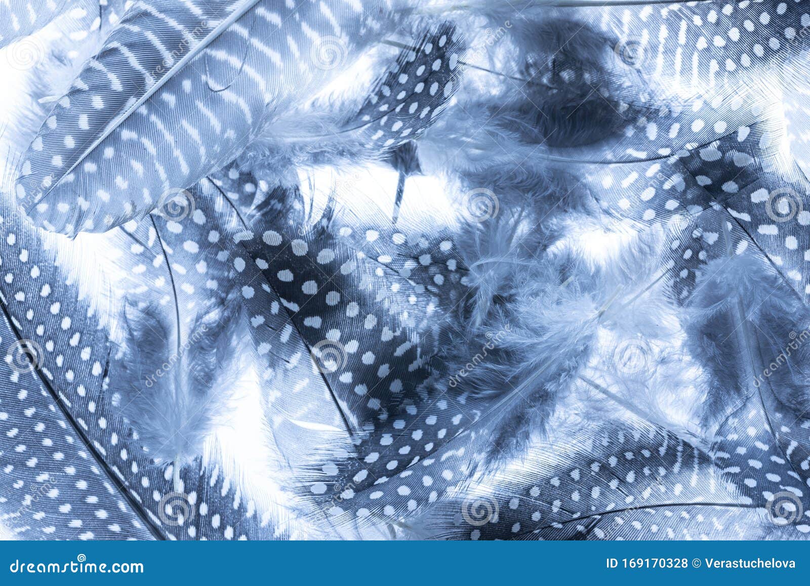 Der Hintergrund von Federn stockfoto. Bild von auszug - 169170328