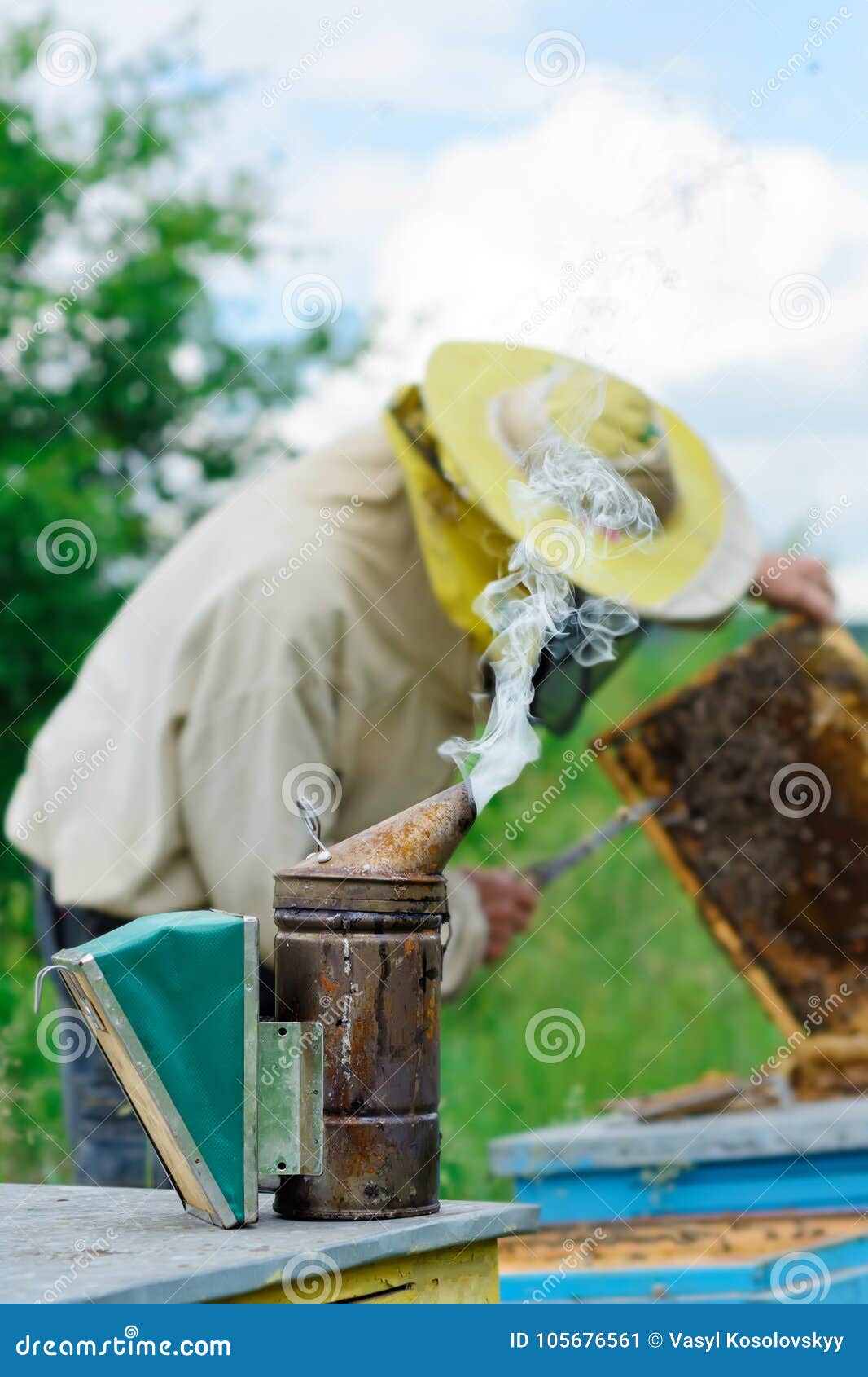 Der Imker Arbeitet an Einem Bienenhaus Apiary Stockbild - Bild von kamm ...
