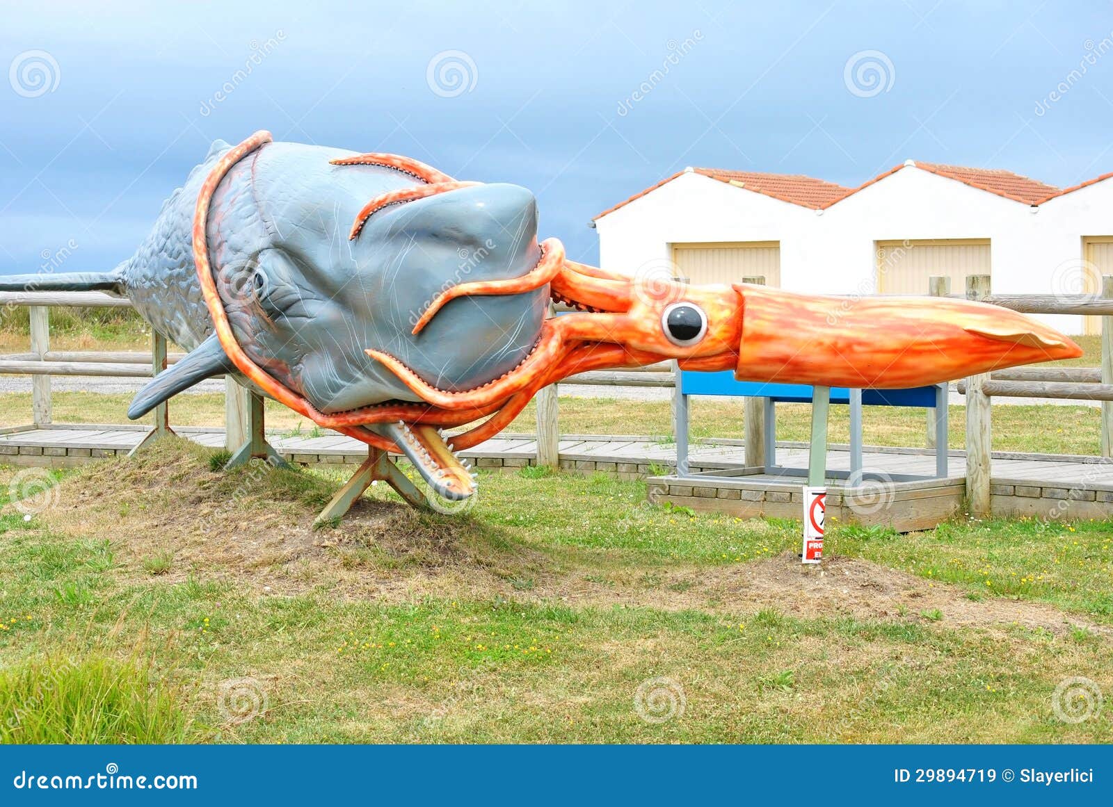 Kalmar stockbild. Bild von kalmar, leben, hintergrund - 29894719