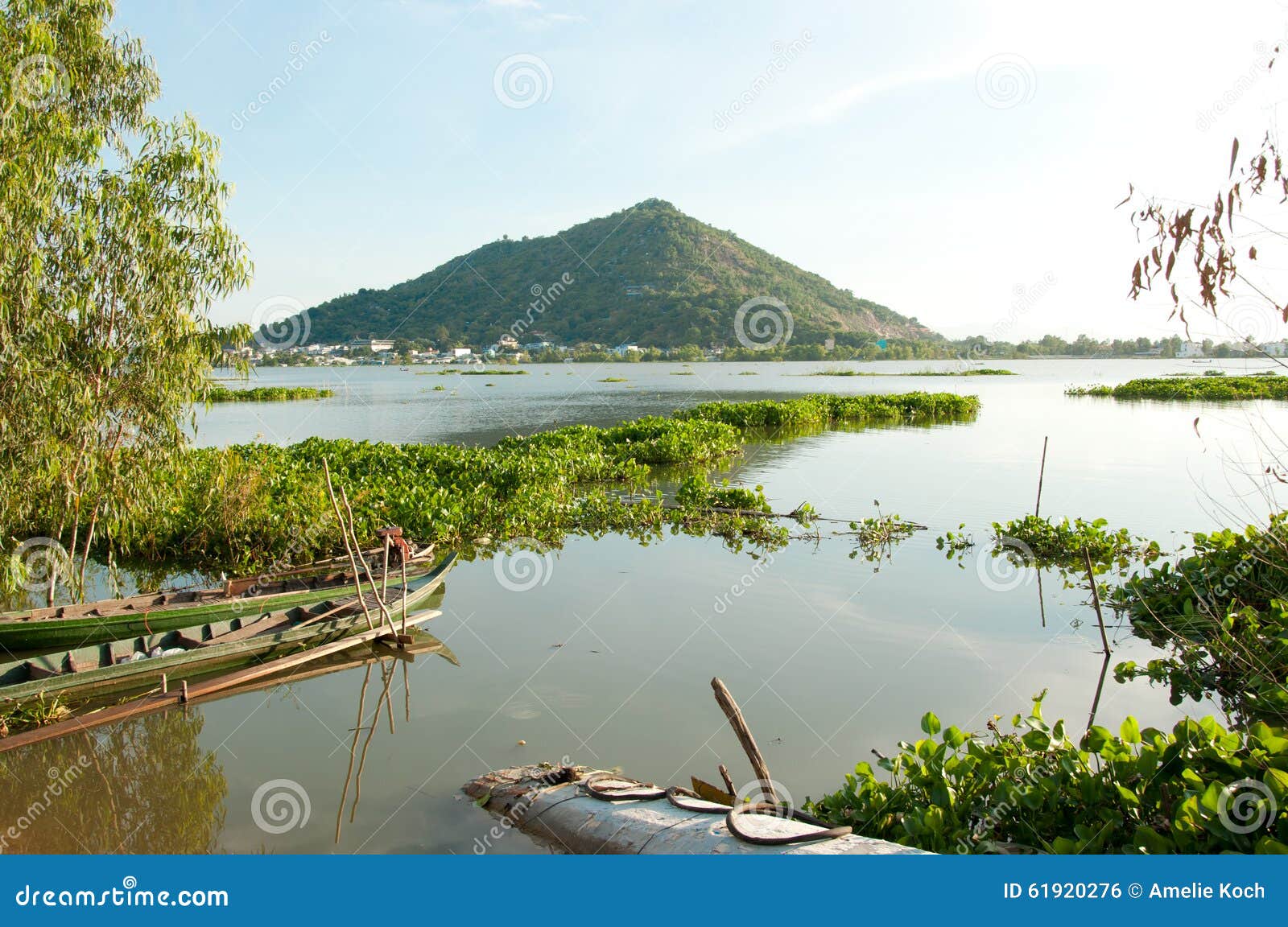 Der Mekong-Delta in Vietnam Stockfoto - Bild von himmel, mekong: 61920276