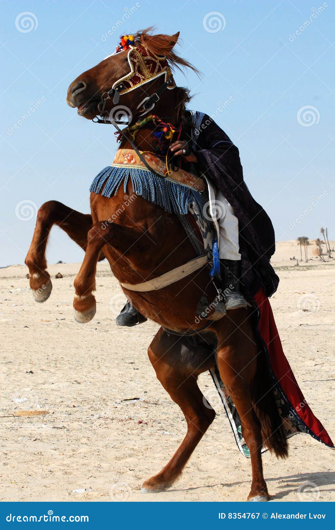 Der Reiter stockbild. Bild von reiter, pferd, darstellung - 8354767