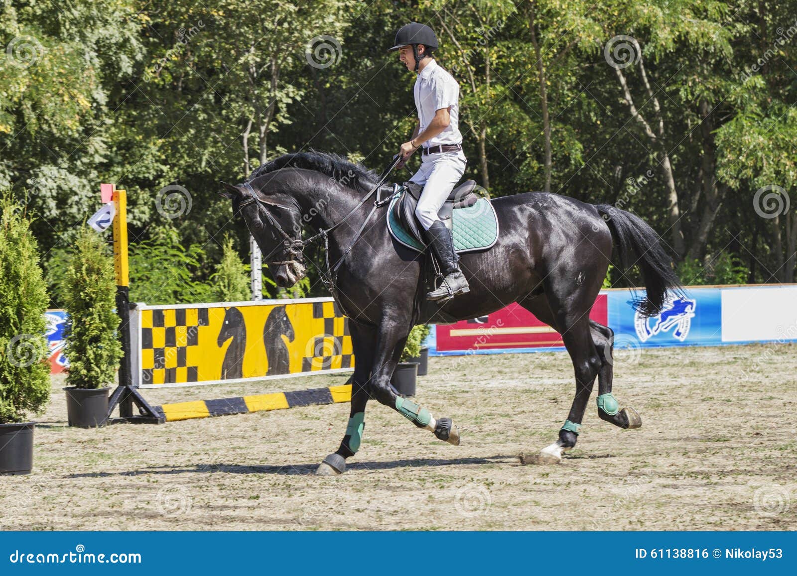 Der Reiter auf der Rappe redaktionelles foto. Bild von mitfahrer - 61138816
