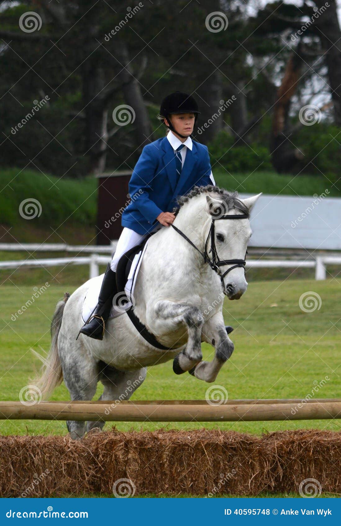 Der Reiter Springend Mit Pferd Stockfoto - Bild von sport, mitfahrer ...