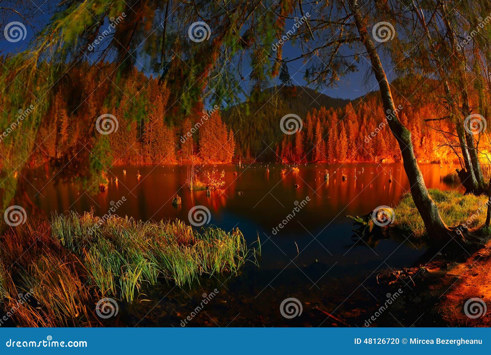 Der Rote See Oder Killer See, Ost-Karpaten, Rumänien Stockfoto - Bild ...
