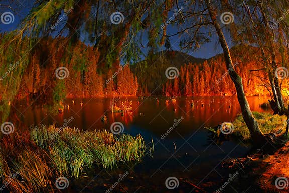 Der Rote See Oder Killer See, Ost-Karpaten, Rumänien Stockfoto - Bild ...