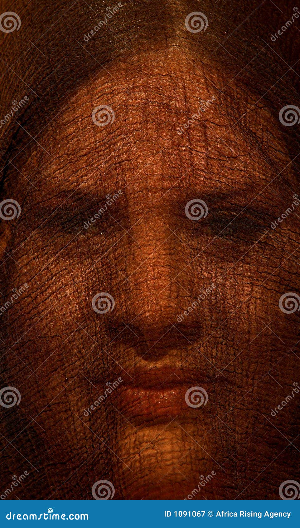 Der Schleier stockbild. Bild von brünette, schön, erwachsener - 1091067