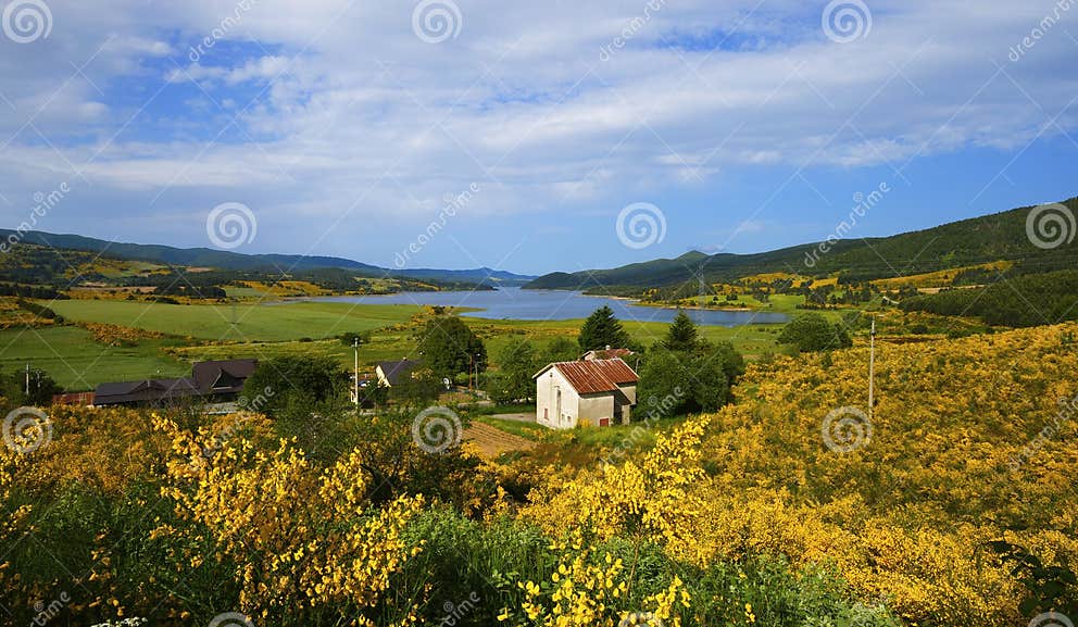 Der See und die Blumen stockbild. Bild von nave, ferien - 5527107