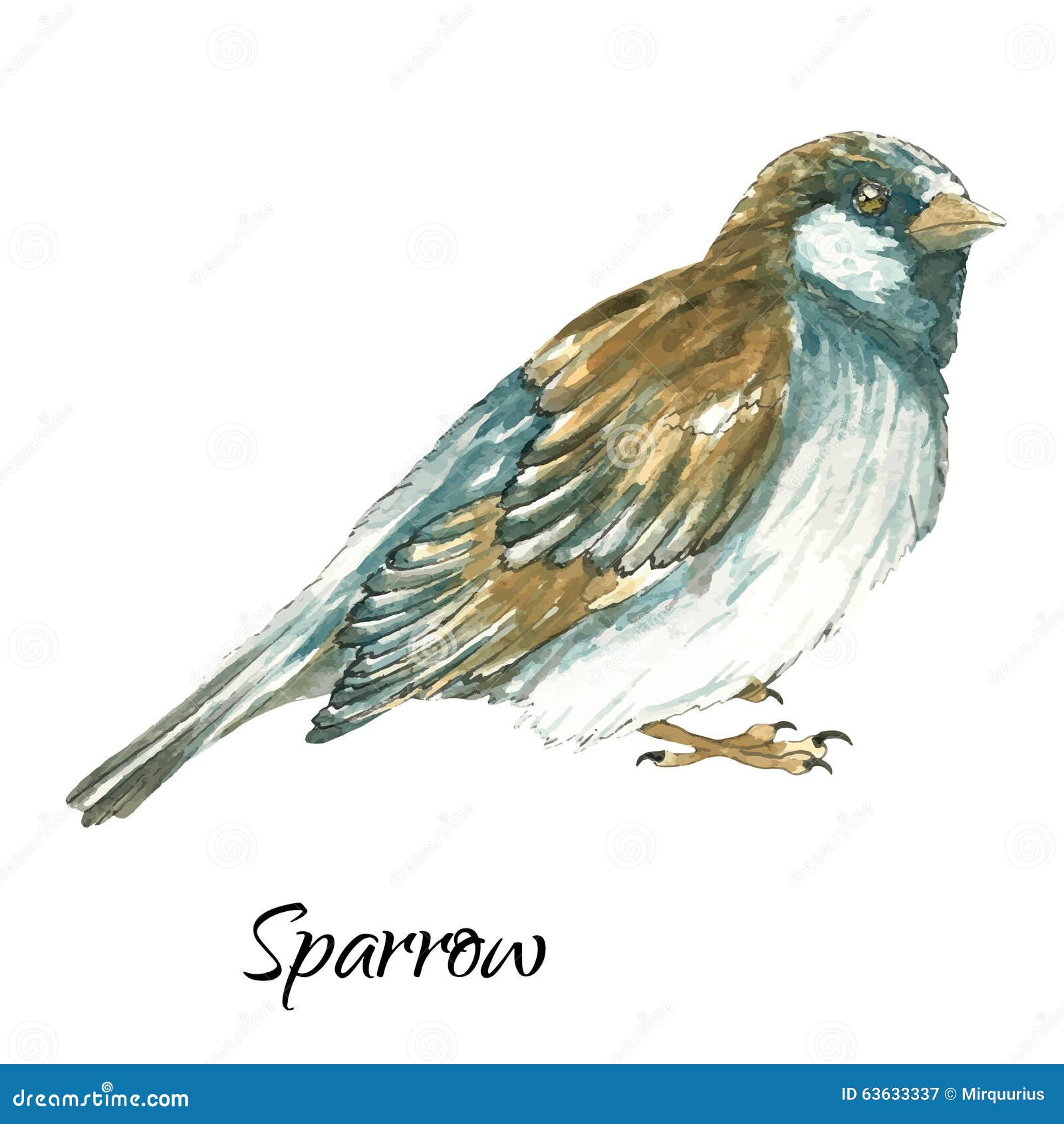 Der Spatz Auf Weißem Hintergrund Vektor Abbildung - Illustration von ...