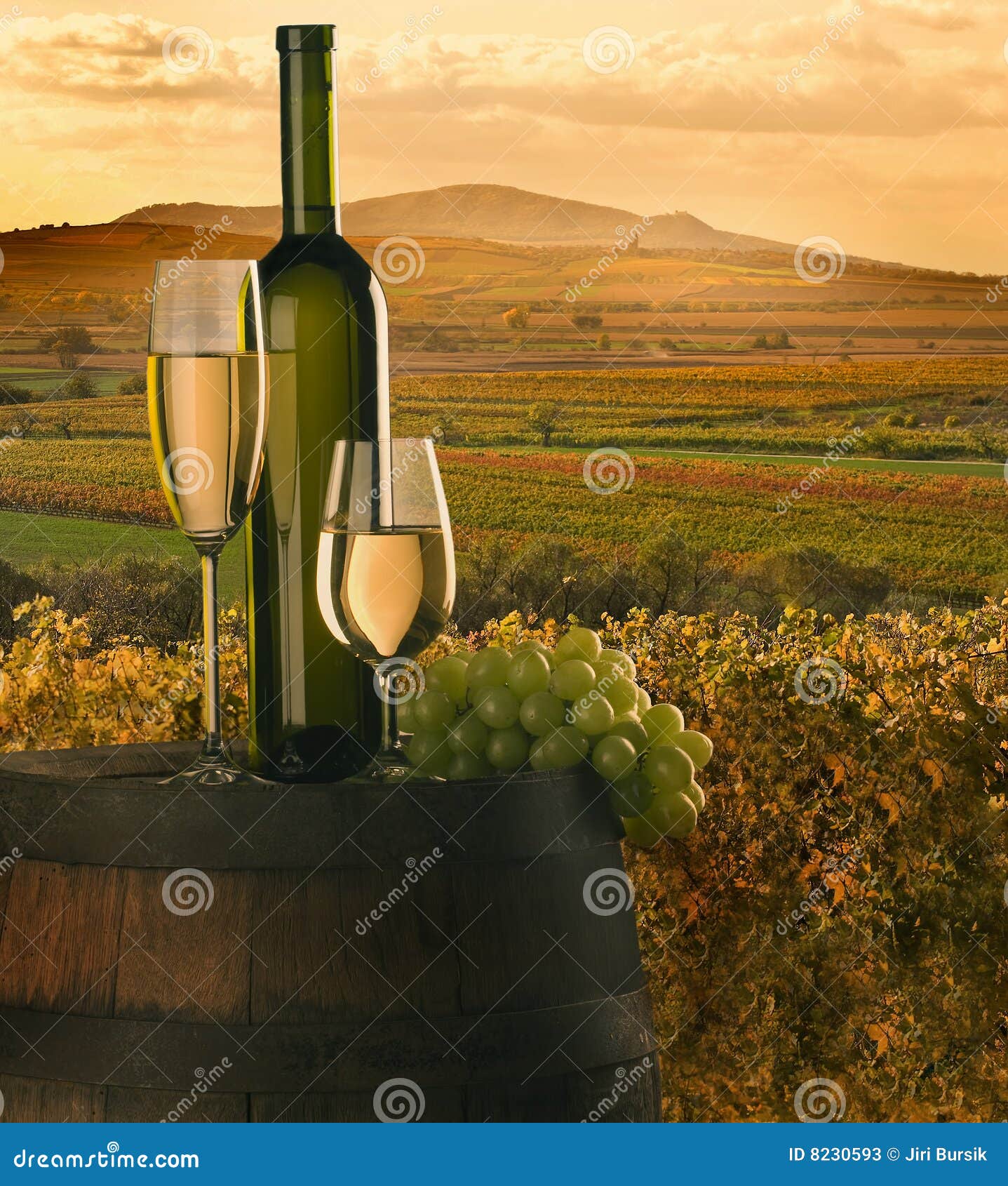 Der Wein stockbild. Bild von rebe, dunkelwerden, landschaft - 8230593