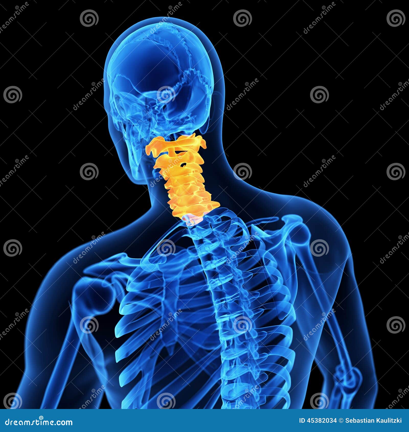 Der zervikale Dorn stock abbildung. Illustration von wissenschaft ...