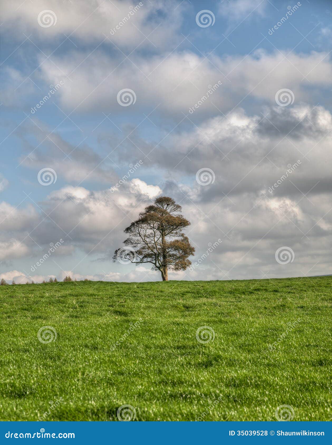 Derbyshire stock photo. Image of single, autumn, monsal - 35039528