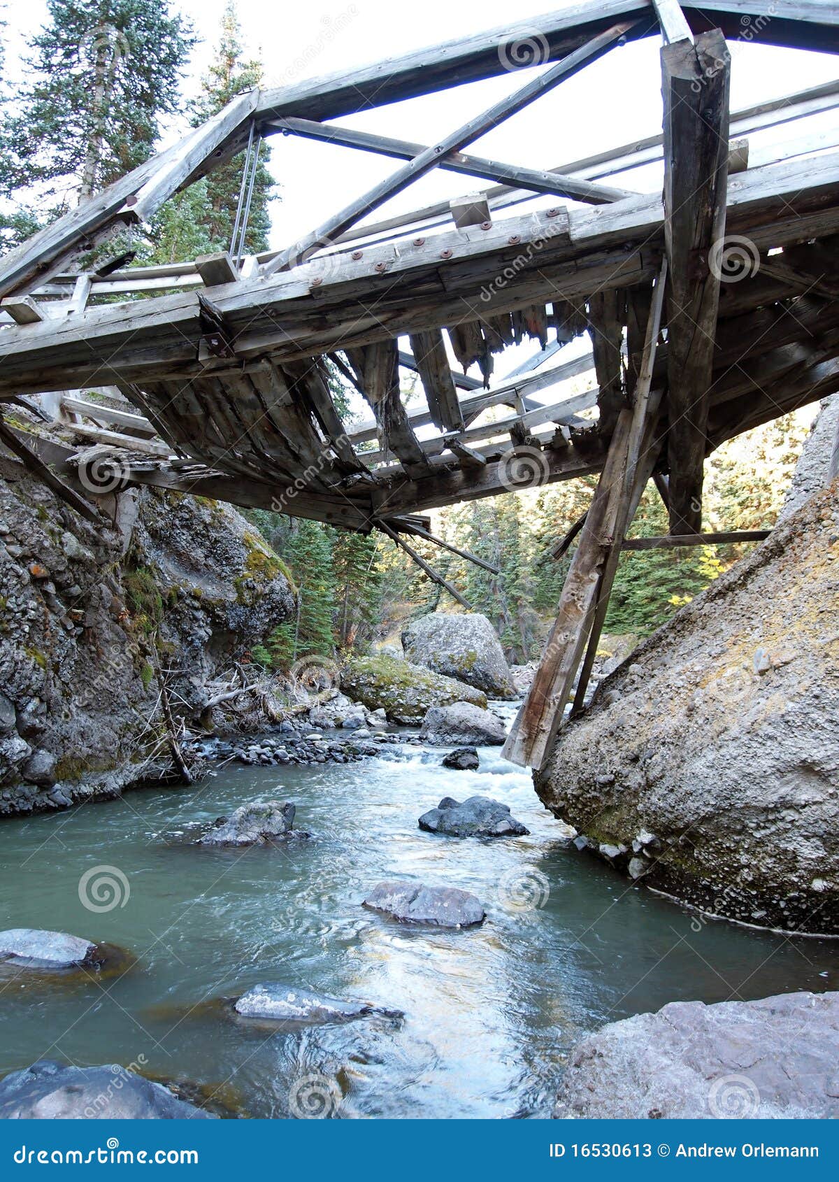 Forest Collapses Stock Photos - Free & Royalty-Free Stock Photos from ...