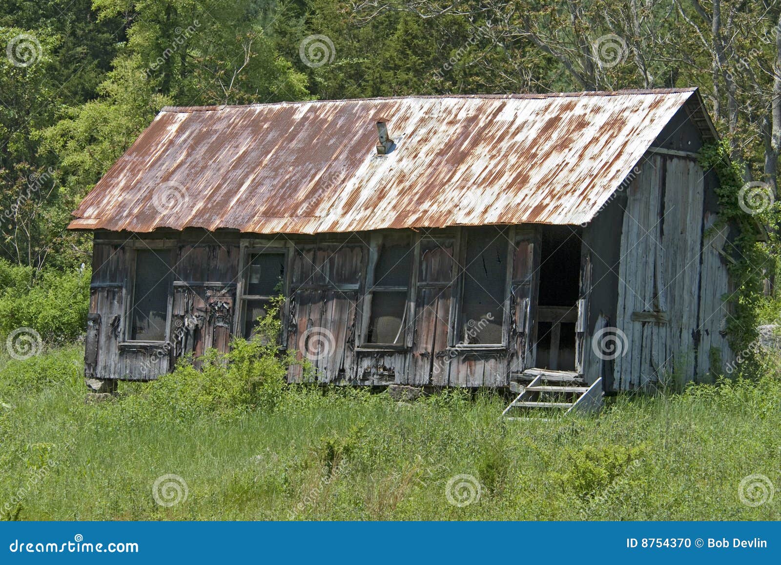 Derelict Cabin With Rusty Tin Roof Stock Photo - Image: 8754370