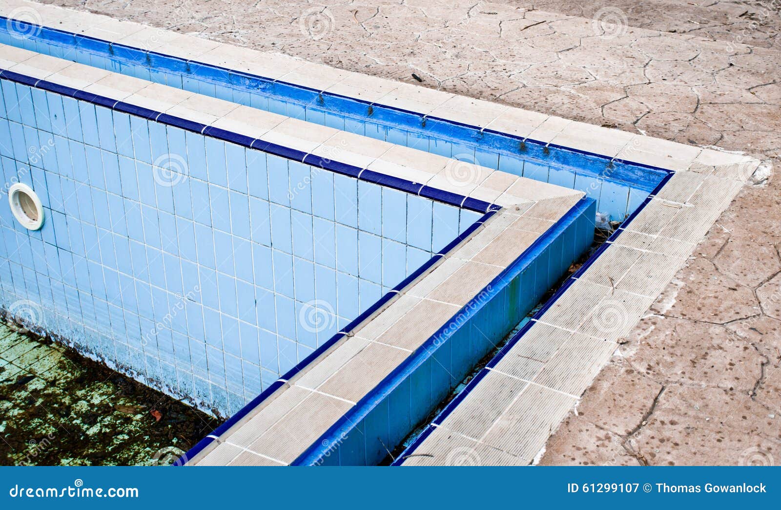 Derelict swimming pool stock image. Image of disgusting - 61299107