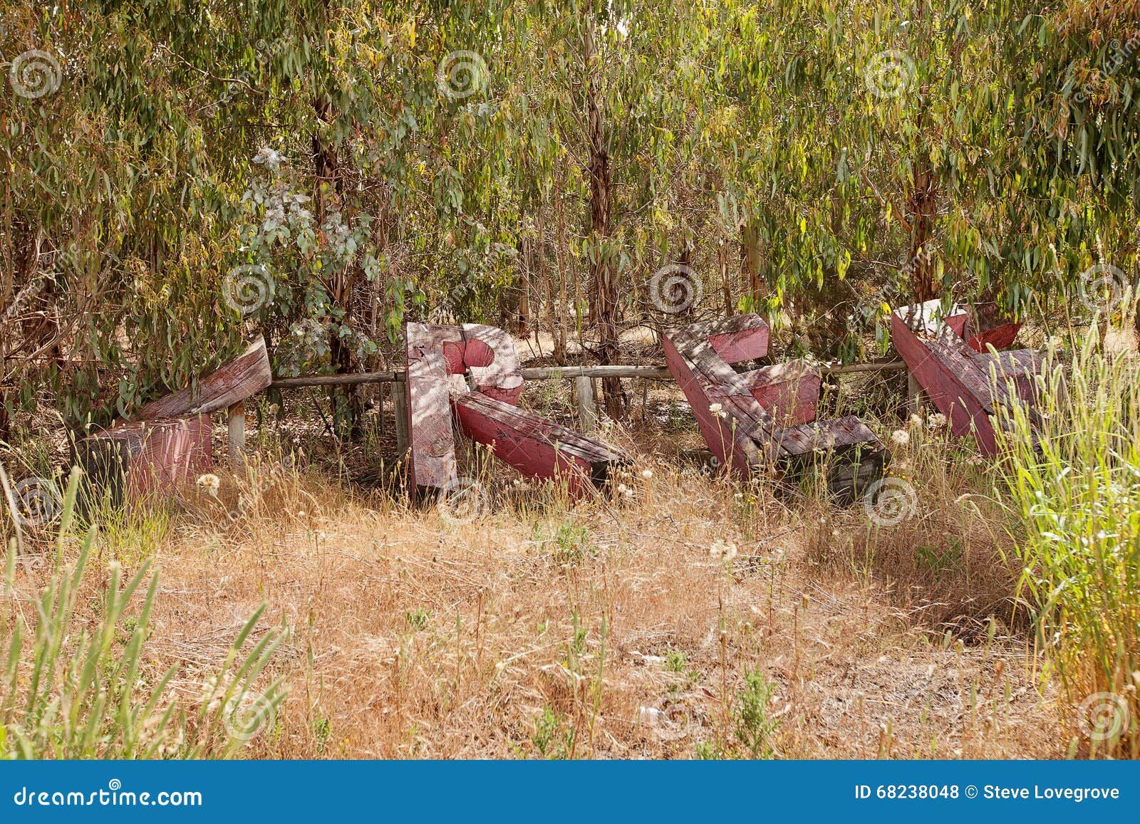 Derelict Tree sign stock photo. Image of timber, nature - 68238048