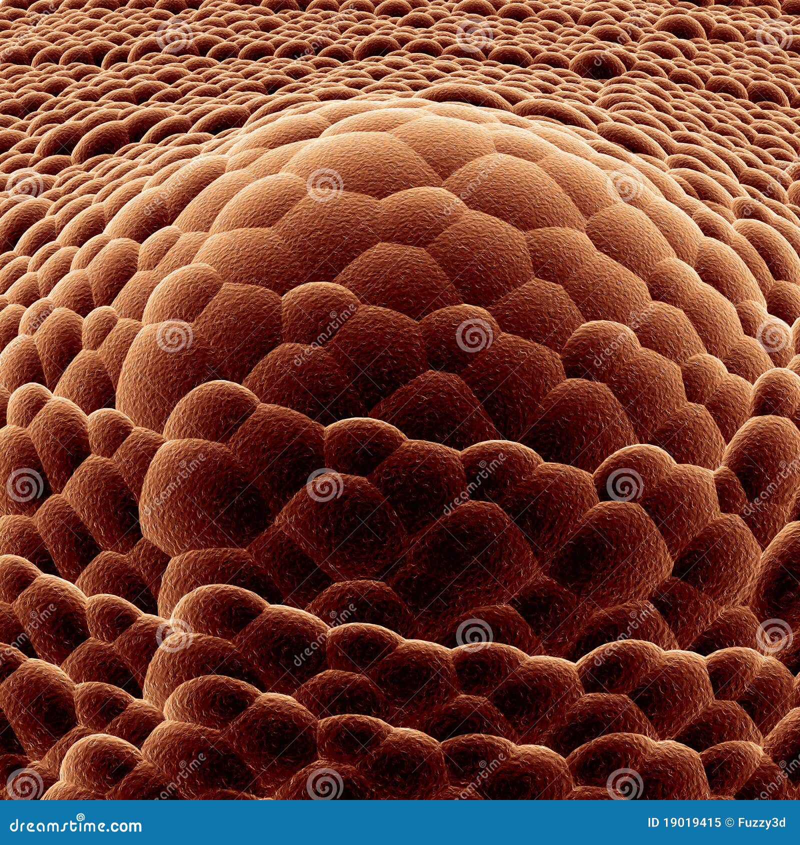 Derma delle cellule illustrazione di stock. Illustrazione di guasto ...