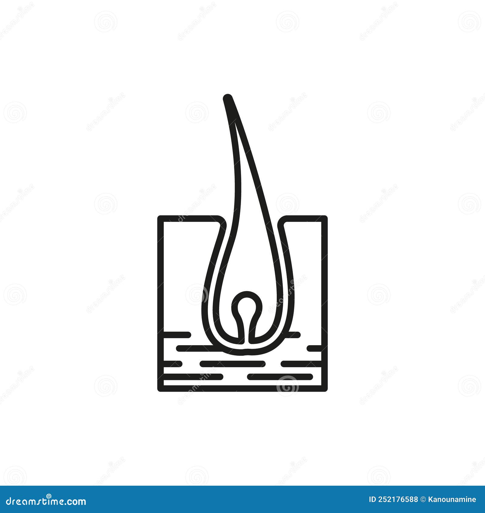 Derma icono trazo editable ilustración del vector. Ilustración de calvo ...