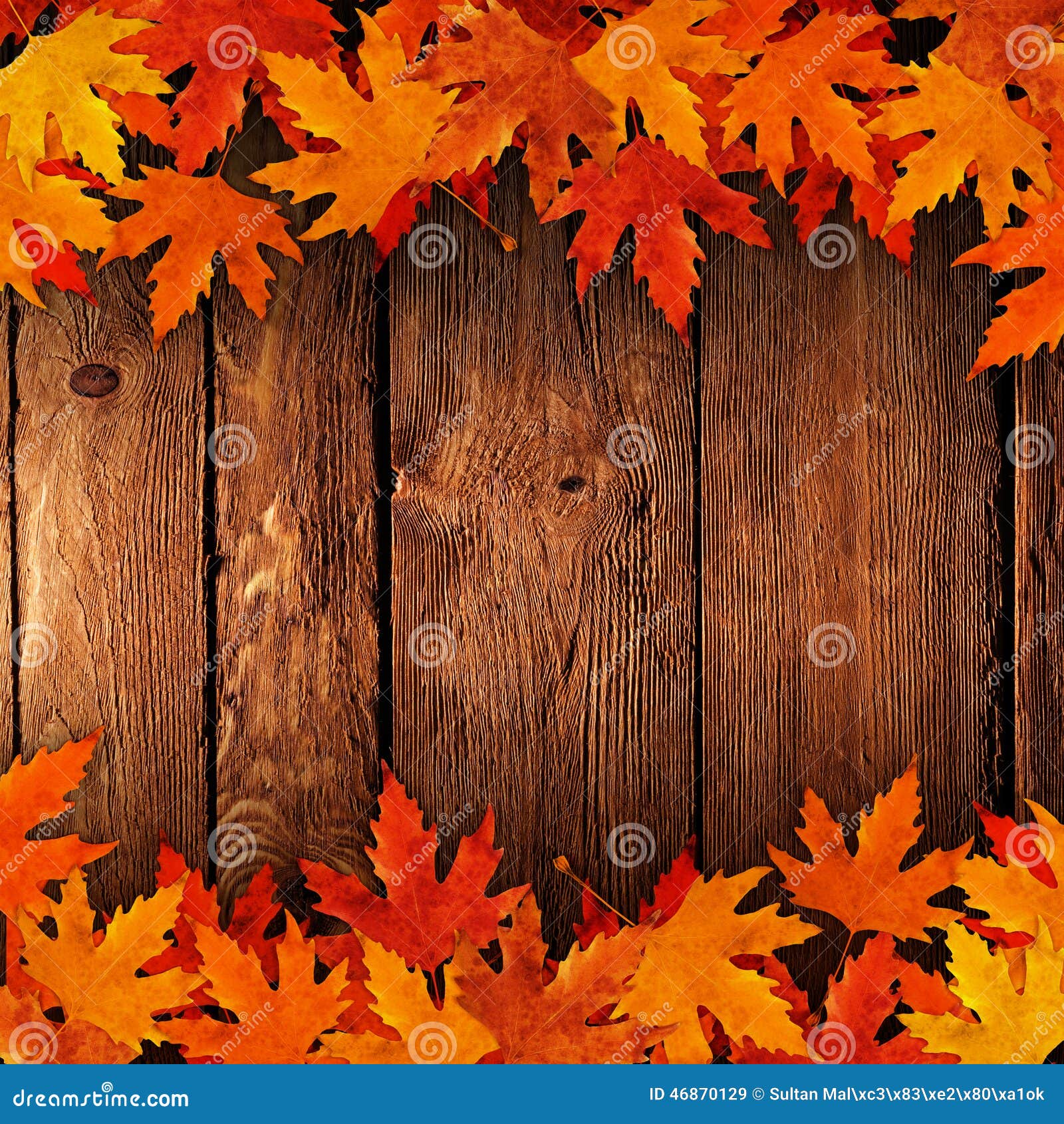 Derramado Nas Folhas Secas Na Madeira Do Outono Imagem de Stock ...