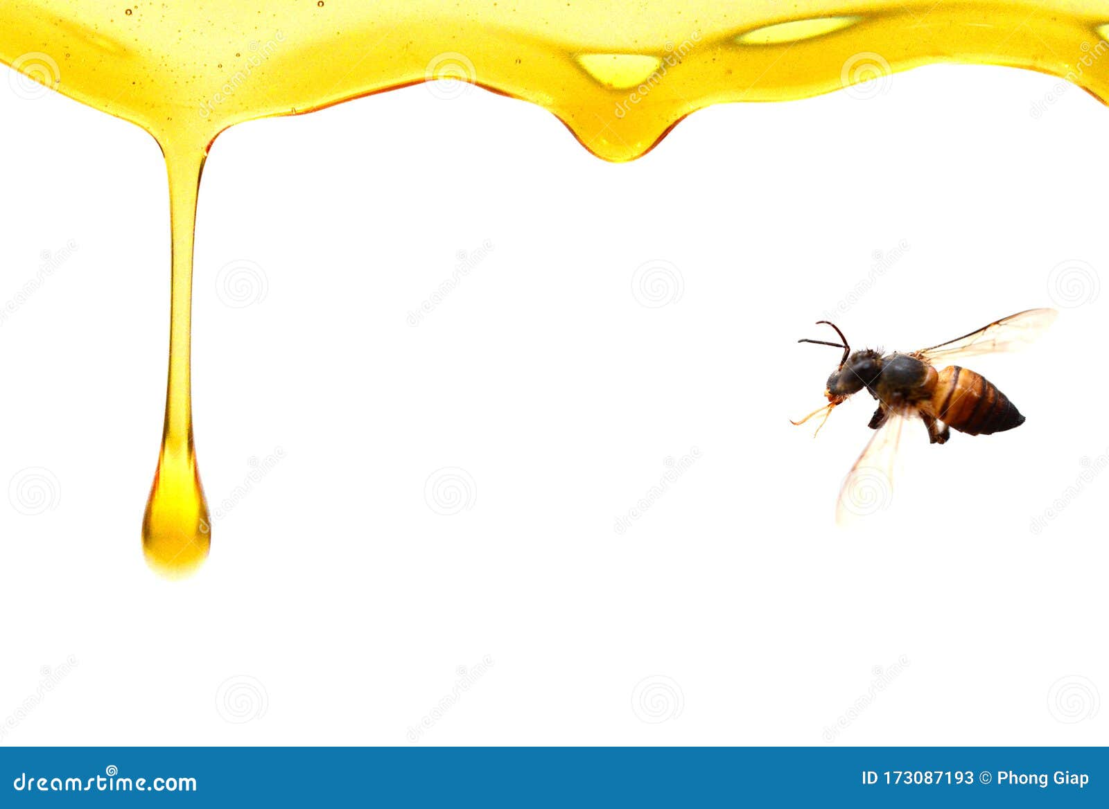 Derrame De Miel De Un Frasco De Vidrio Imagen de archivo - Imagen de ...