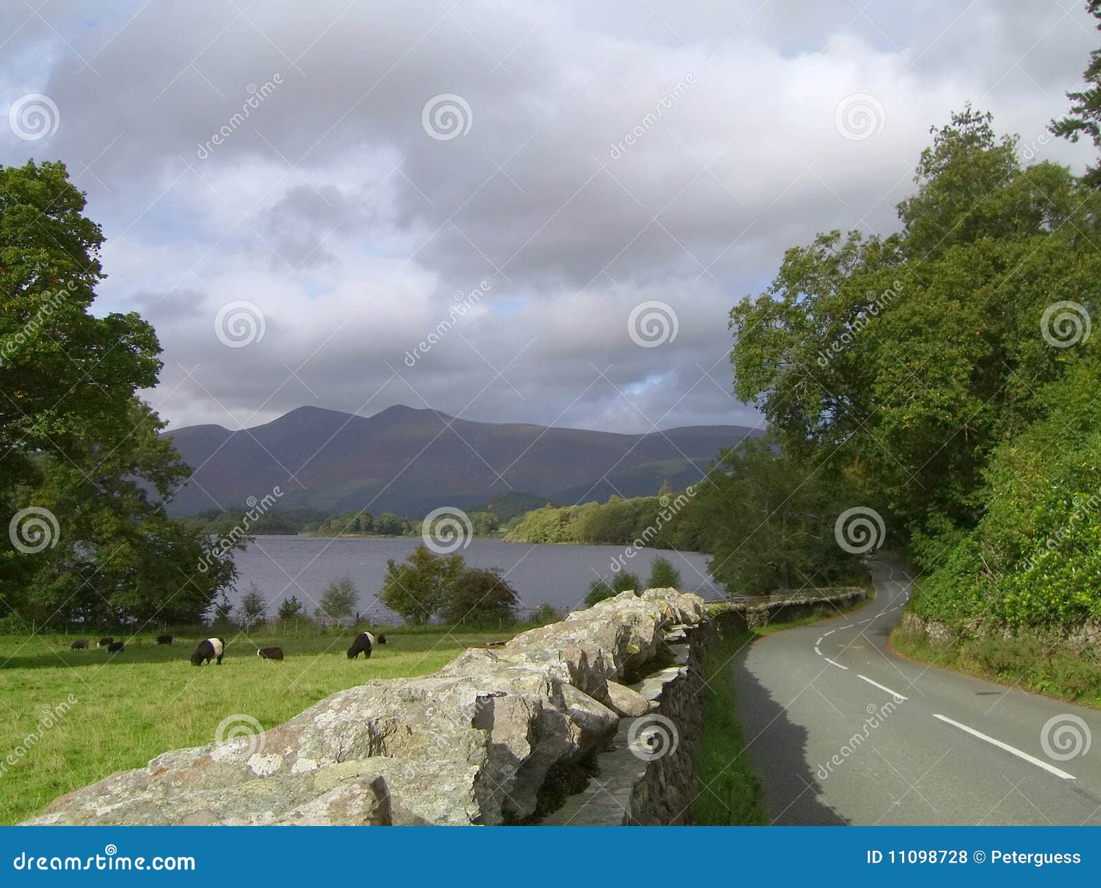 Derwent Water stock photo. Image of water, road, trees - 11098728