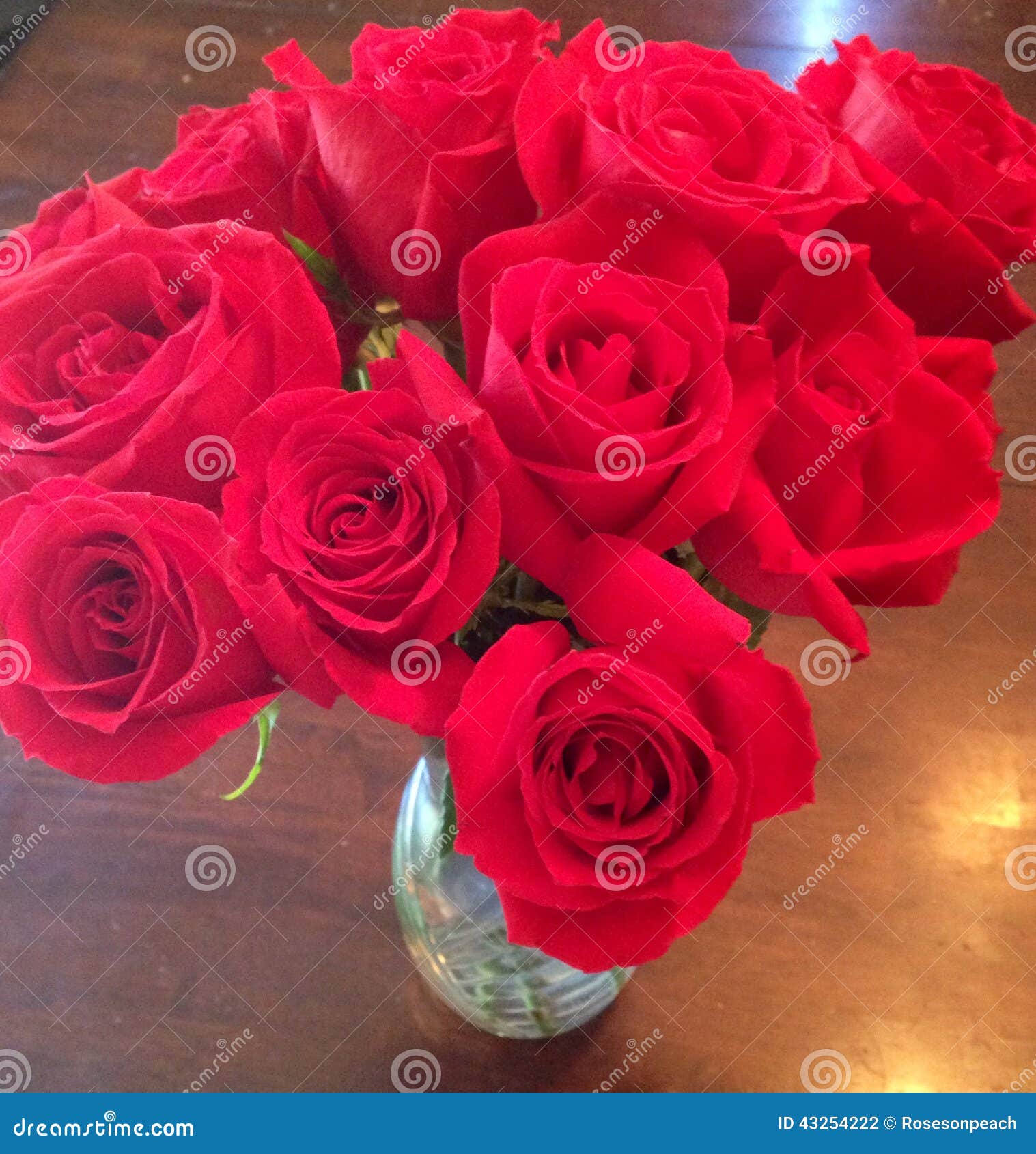 Des douzaine roses rouges photo stock. Image du bois - 43254222