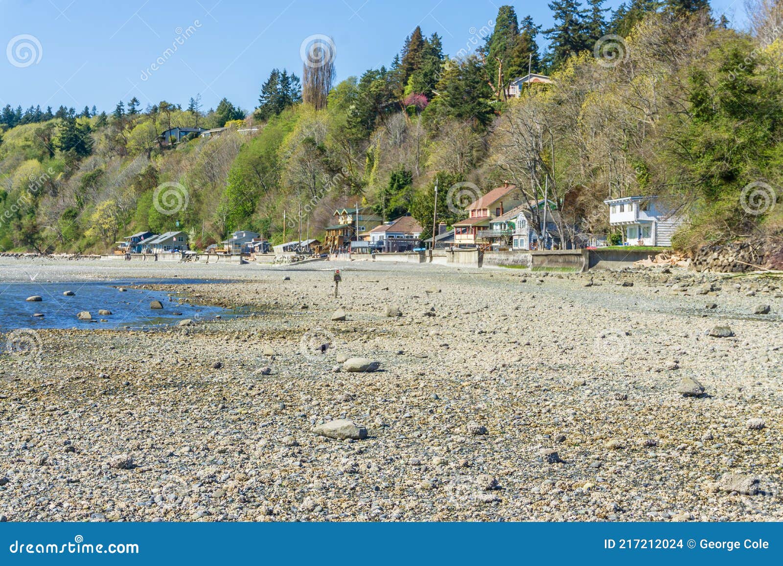 Des Moines Waterfront Homes Stock Photo - Image of outdoors, nature ...