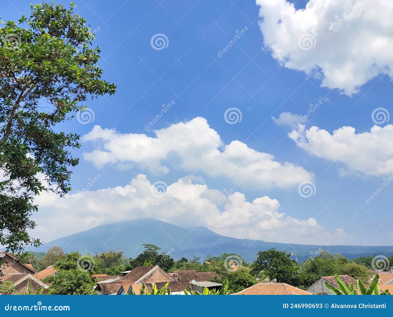 Village in java land stock image. Image of farm, village - 246990693