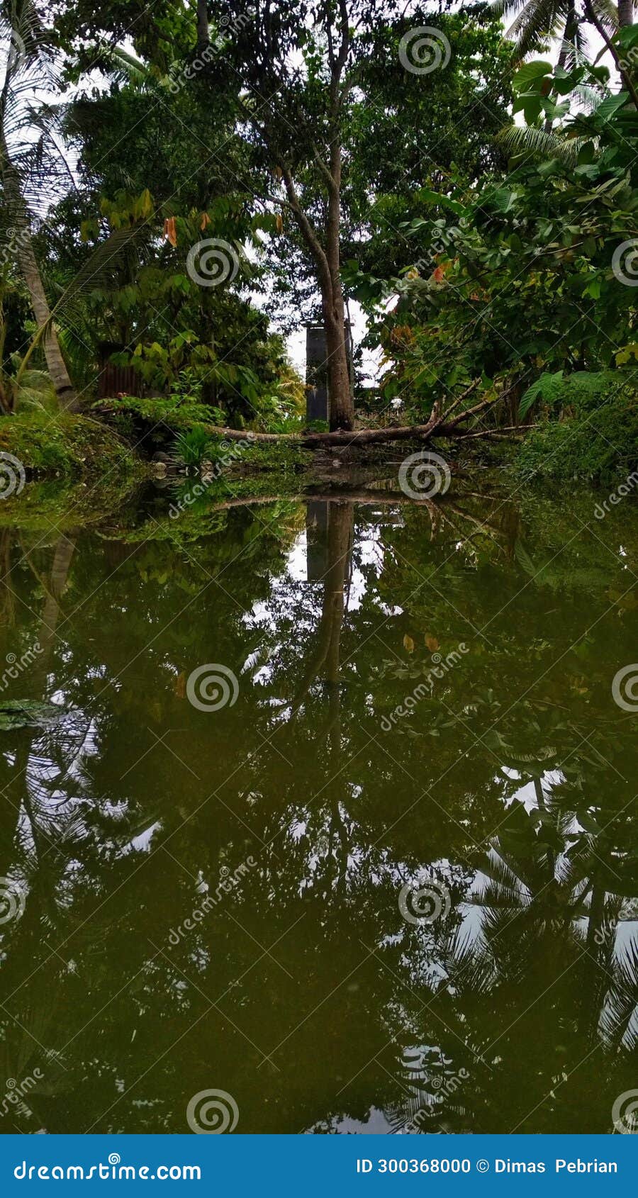 Natural Rivers in Indonesia Stock Photo - Image of vertical, nature ...