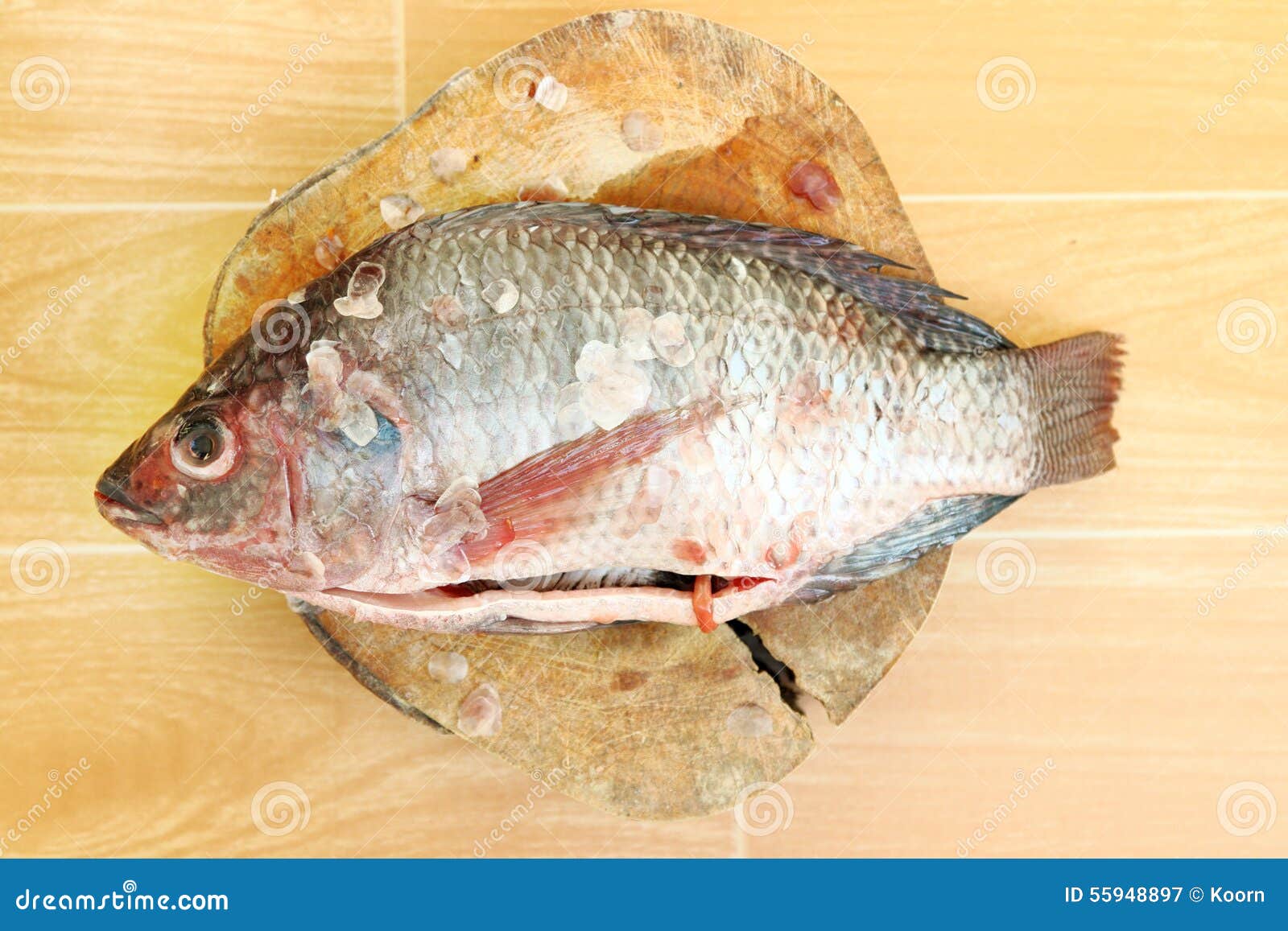 Descaling fish stock image. Image of descaled, marine - 55948897