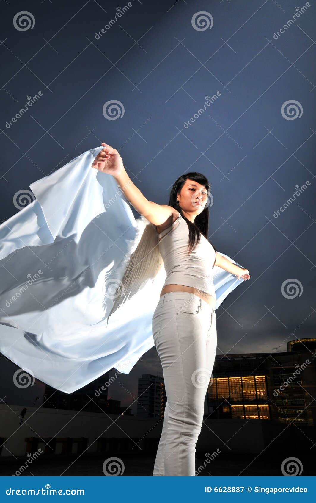 Descending Angel 8 Picture. Image: 6628887