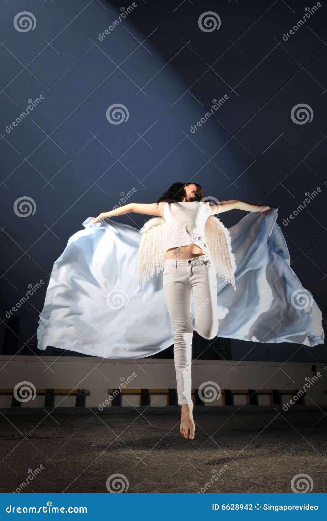 Descending Angel 9 Picture. Image: 6628942