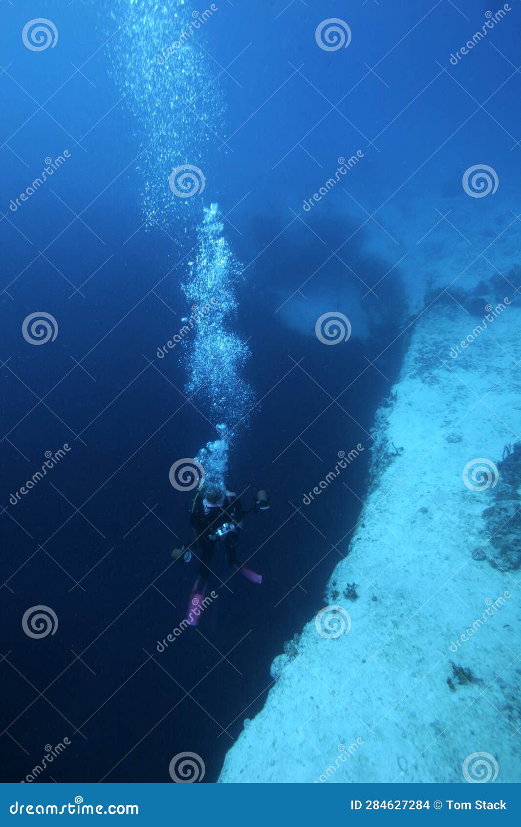 Diver Descending into Blue Hole in the Bahama Islands Stock Photo ...