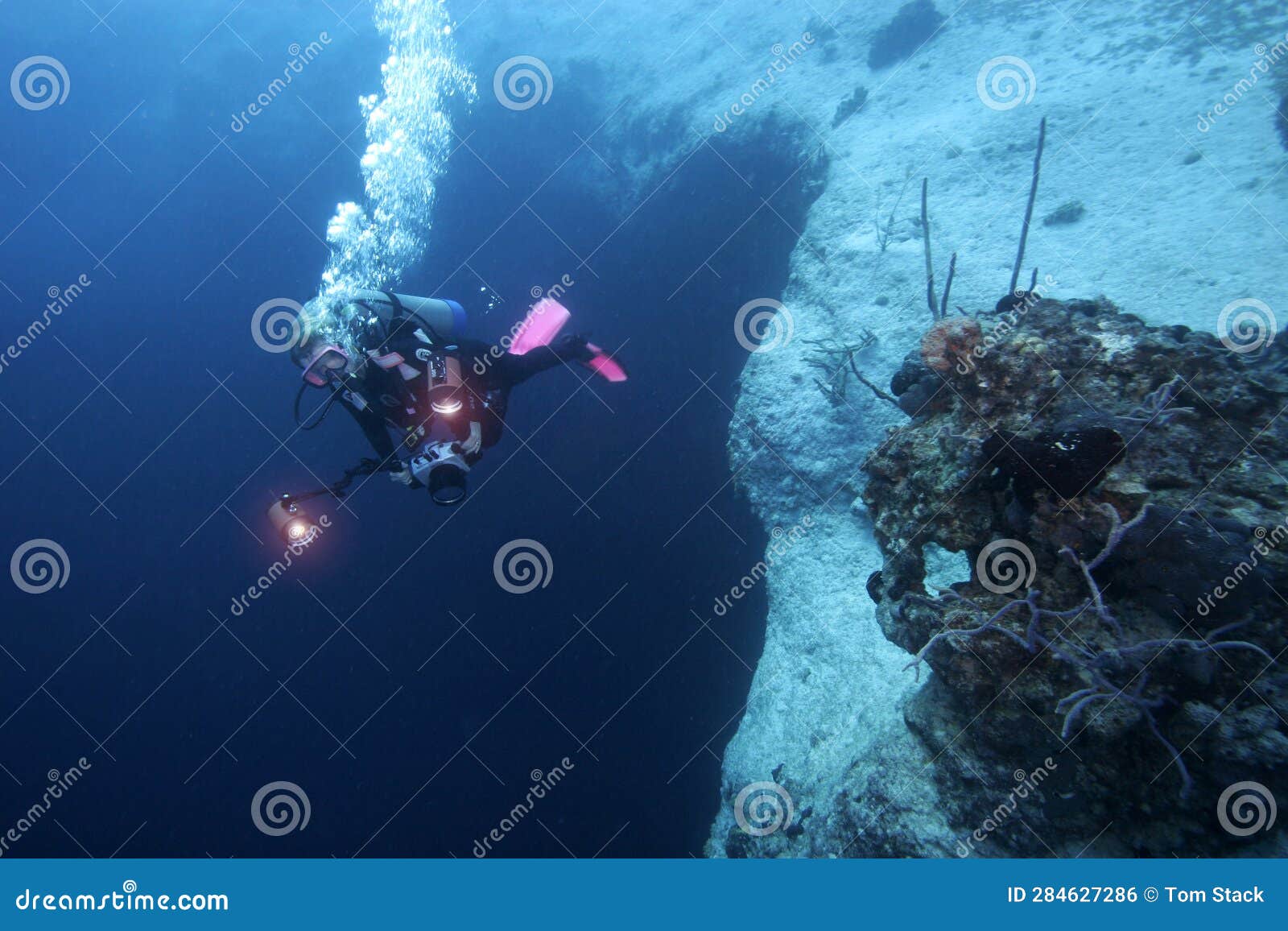 An Underwater Photographer Descending into Lost Ocean Blue Hole, Bahama ...