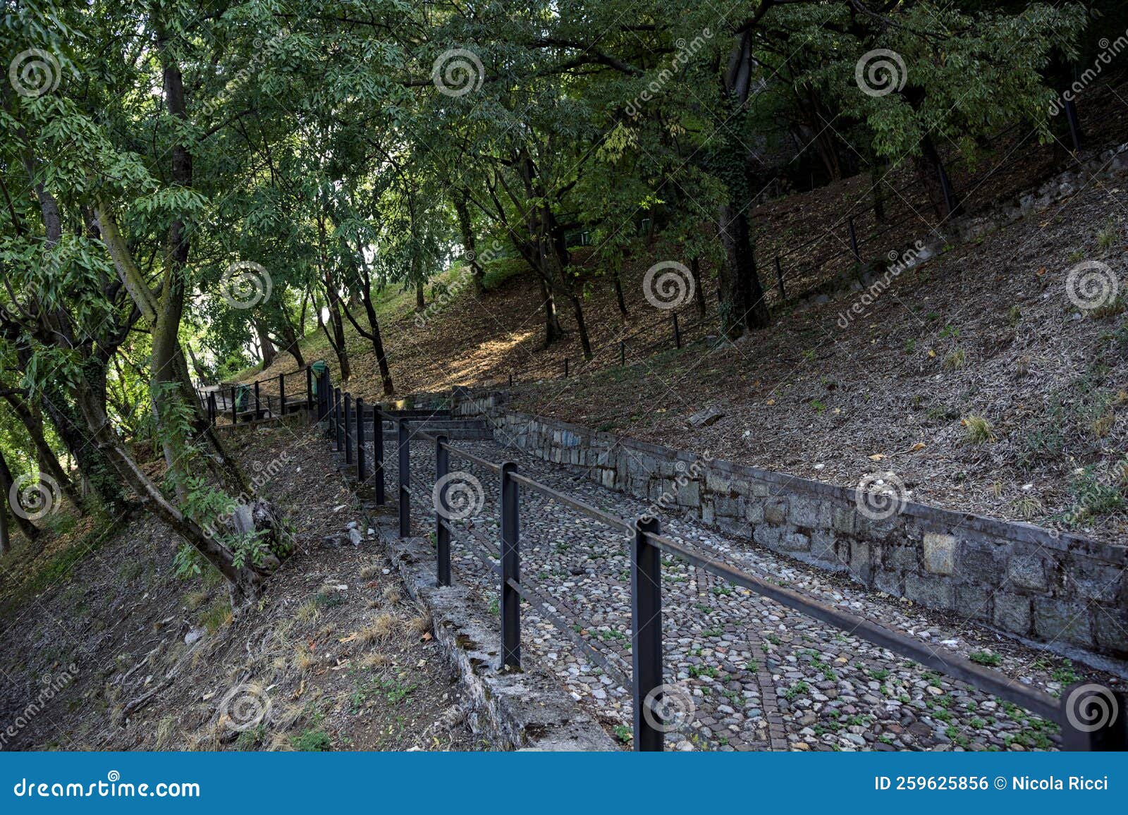 Descending Paved Path in a Park Stock Photo - Image of cycle, bush ...