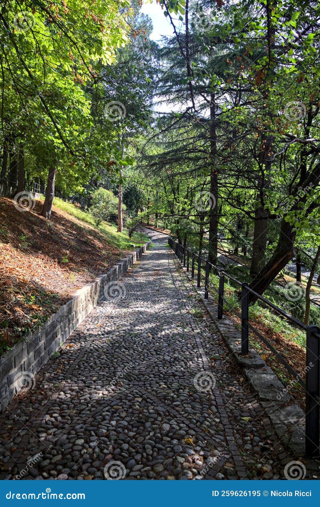 Descending Paved Path in a Park Stock Image - Image of ecology, cycle ...