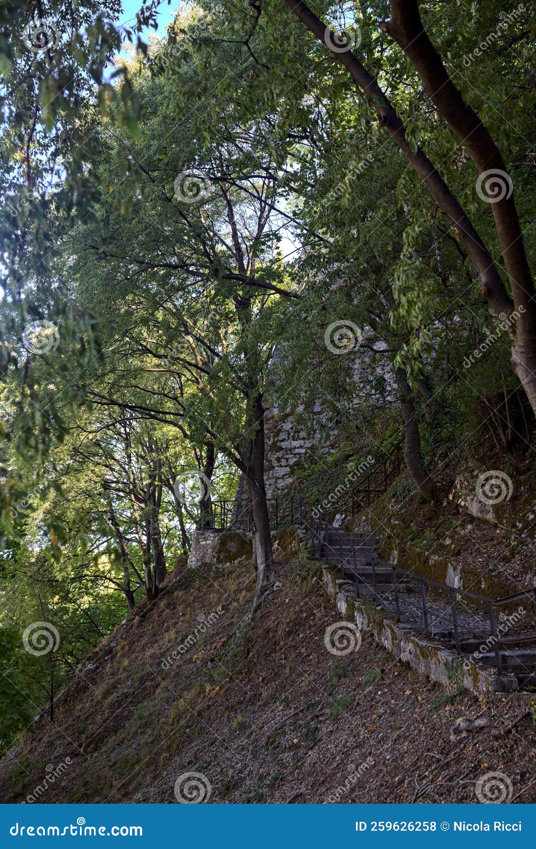 Descending Paved Path in a Park Stock Photo - Image of empty, adventure ...