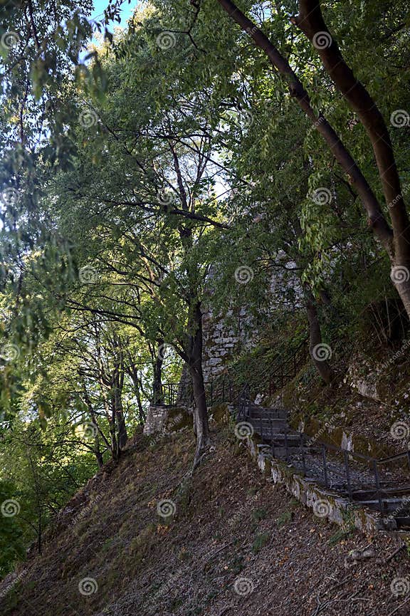 Descending Paved Path in a Park Stock Photo - Image of empty, adventure ...