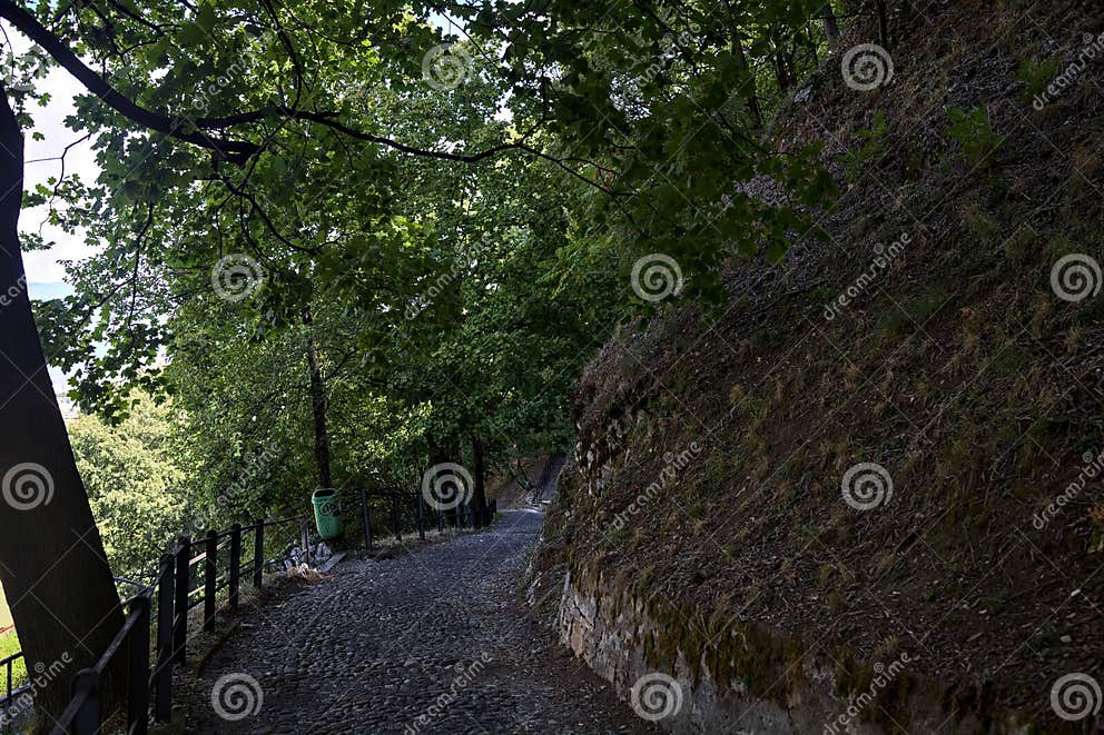 Descending Paved Path in a Park Stock Image - Image of adventure, earth ...