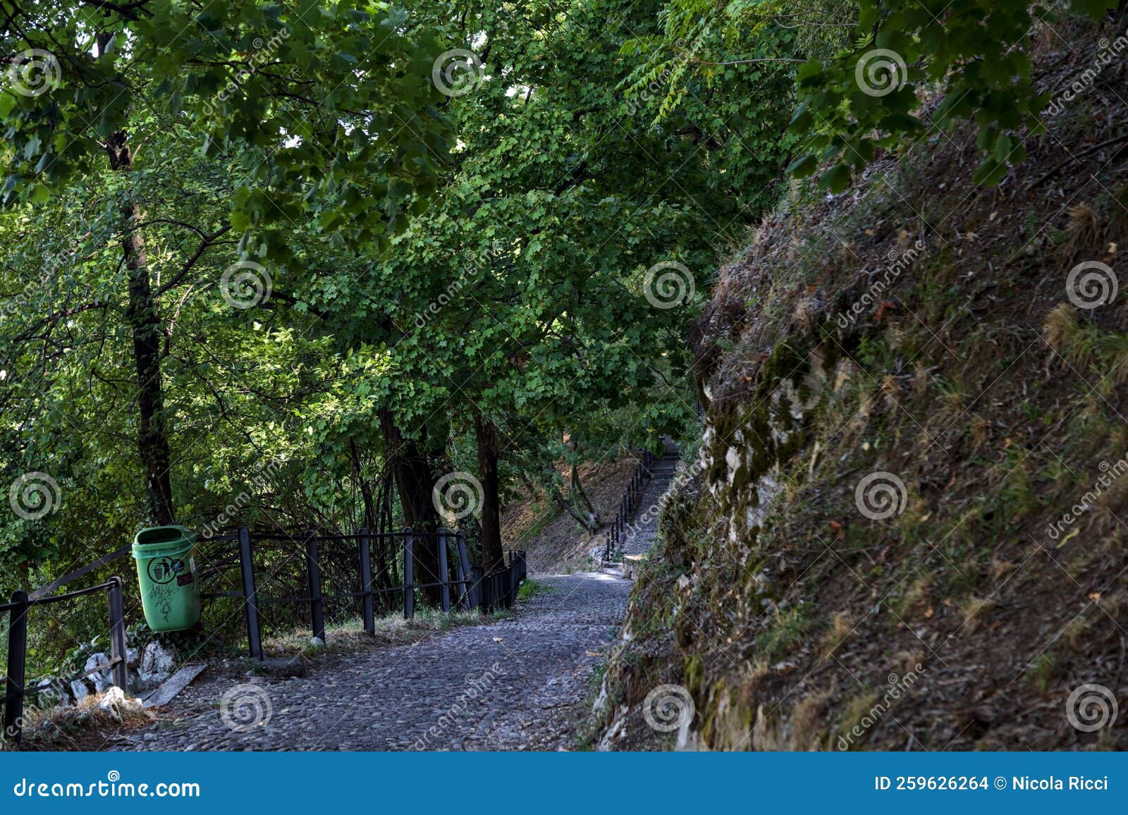 Descending Paved Path in a Park Stock Photo - Image of august, direct ...