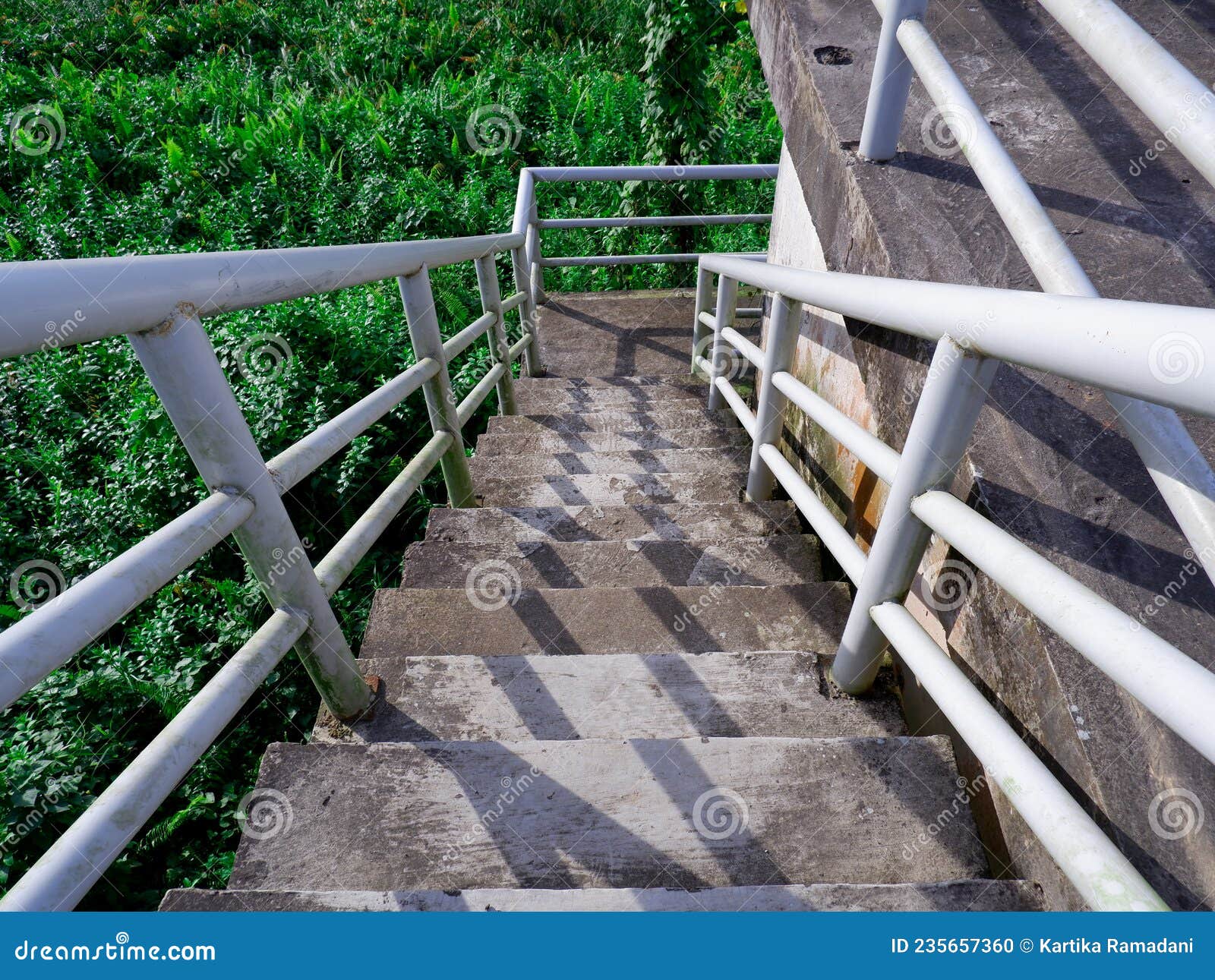 Descending Stairs Surrounded by Grass and Trees Stock Photo - Image of ...