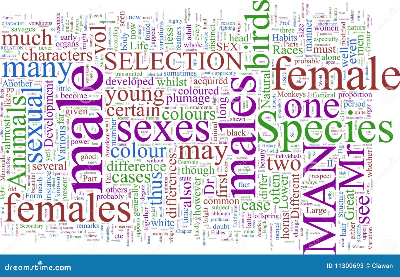 The Descent of Man stock illustration. Illustration of mankind - 11300693