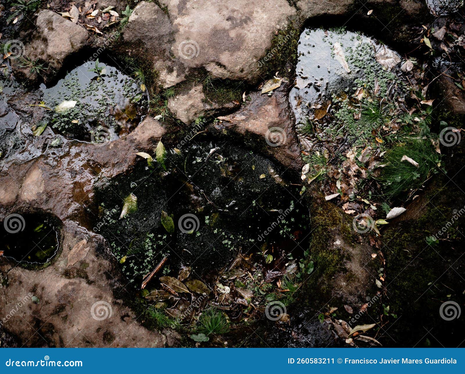 Descent of the Water in the Kaiate Falls Stock Image - Image of rock ...