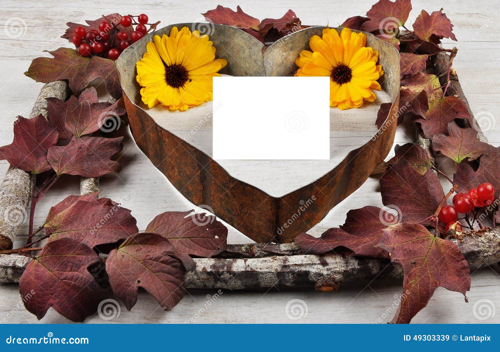 Describable card stock image. Image of paper, reservation - 49303339
