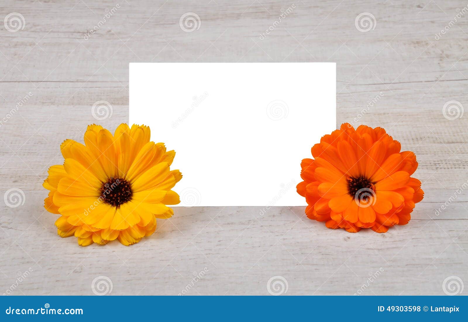 Describable card stock photo. Image of card, text, yellow - 49303598