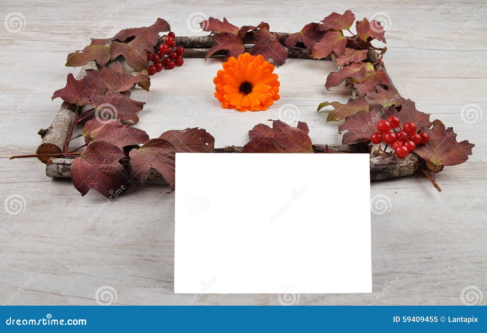 Describable Card Stock Photos - Free & Royalty-Free Stock Photos from ...