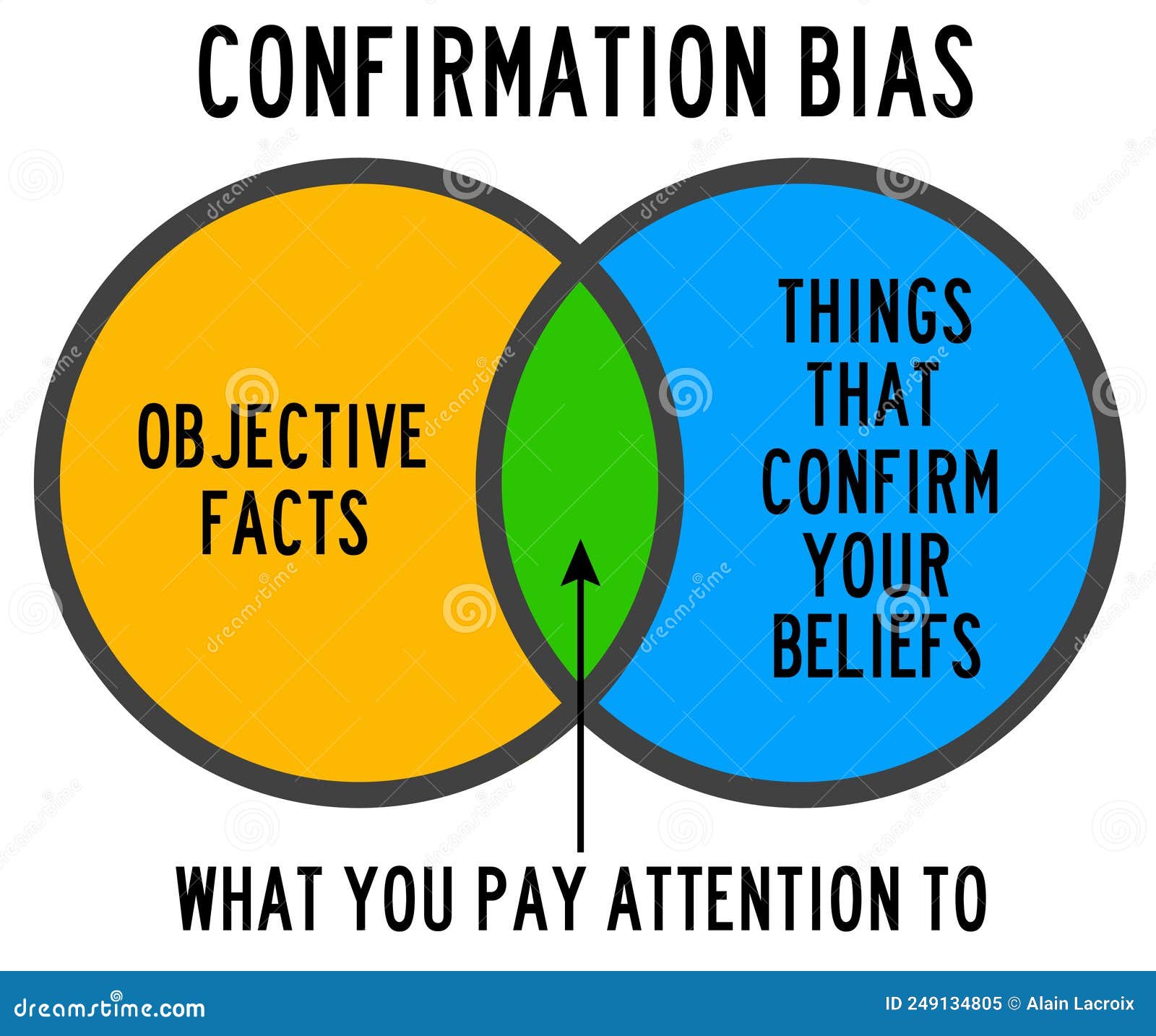 Confirmation Bias Attention Stock Illustration - Illustration of ... Confirmation Bias Attention Stock Illustration - Illustration of ...