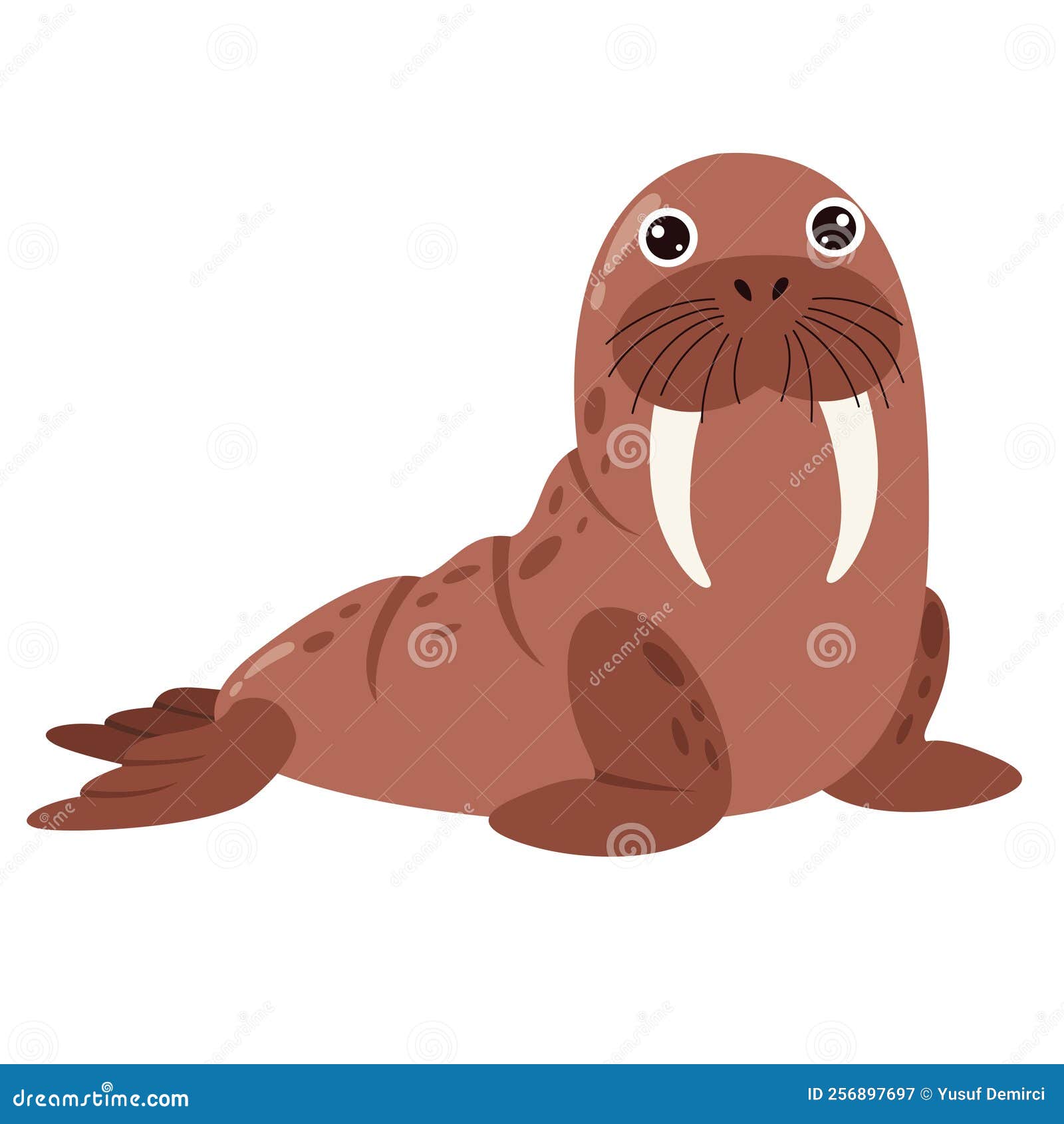 Desenho Animado De Uma Morsa Ilustração Stock - Ilustração de vida ...