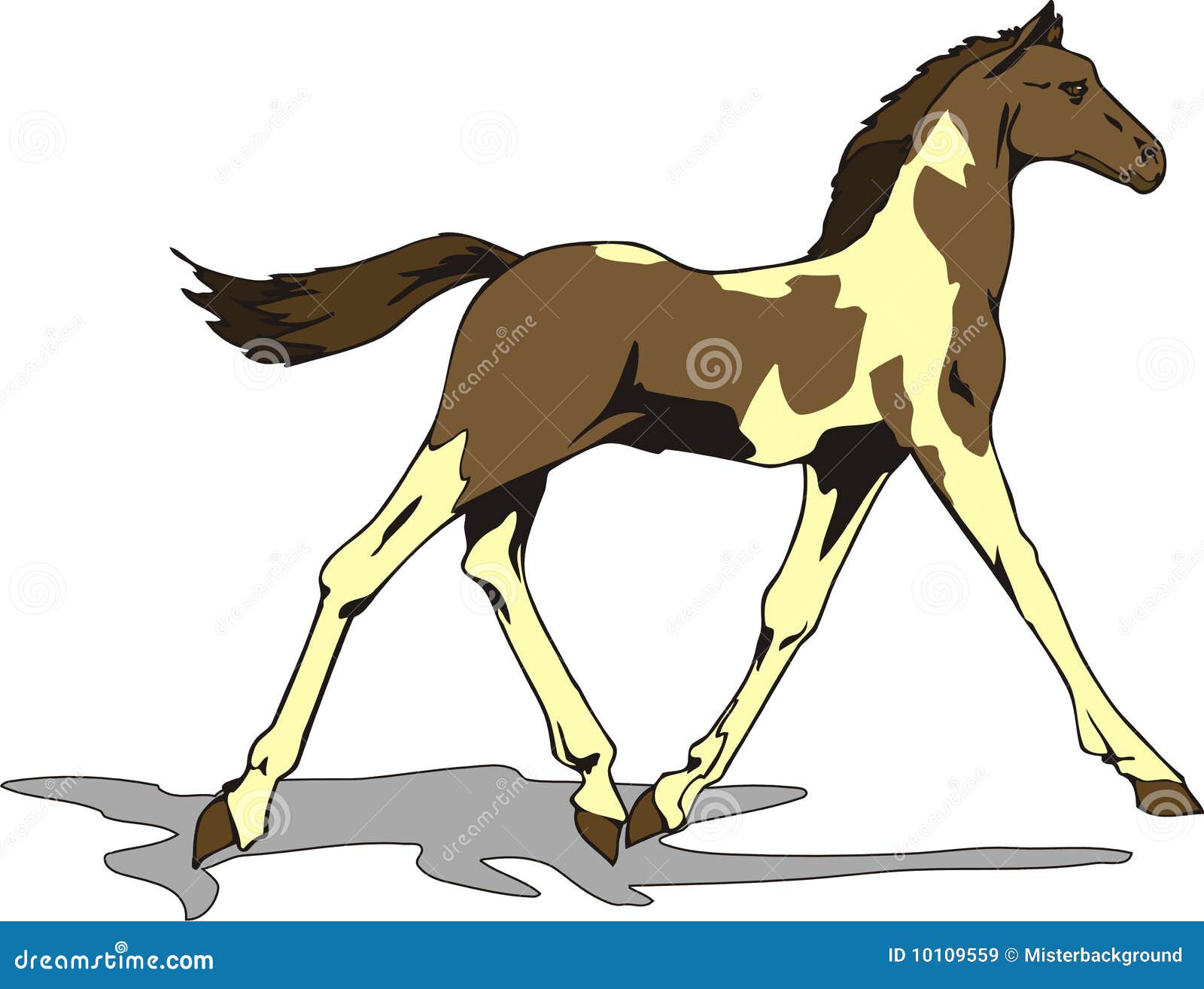 Desenho Bonito Do Potro, Cor Ilustração do Vetor - Ilustração de arte ...