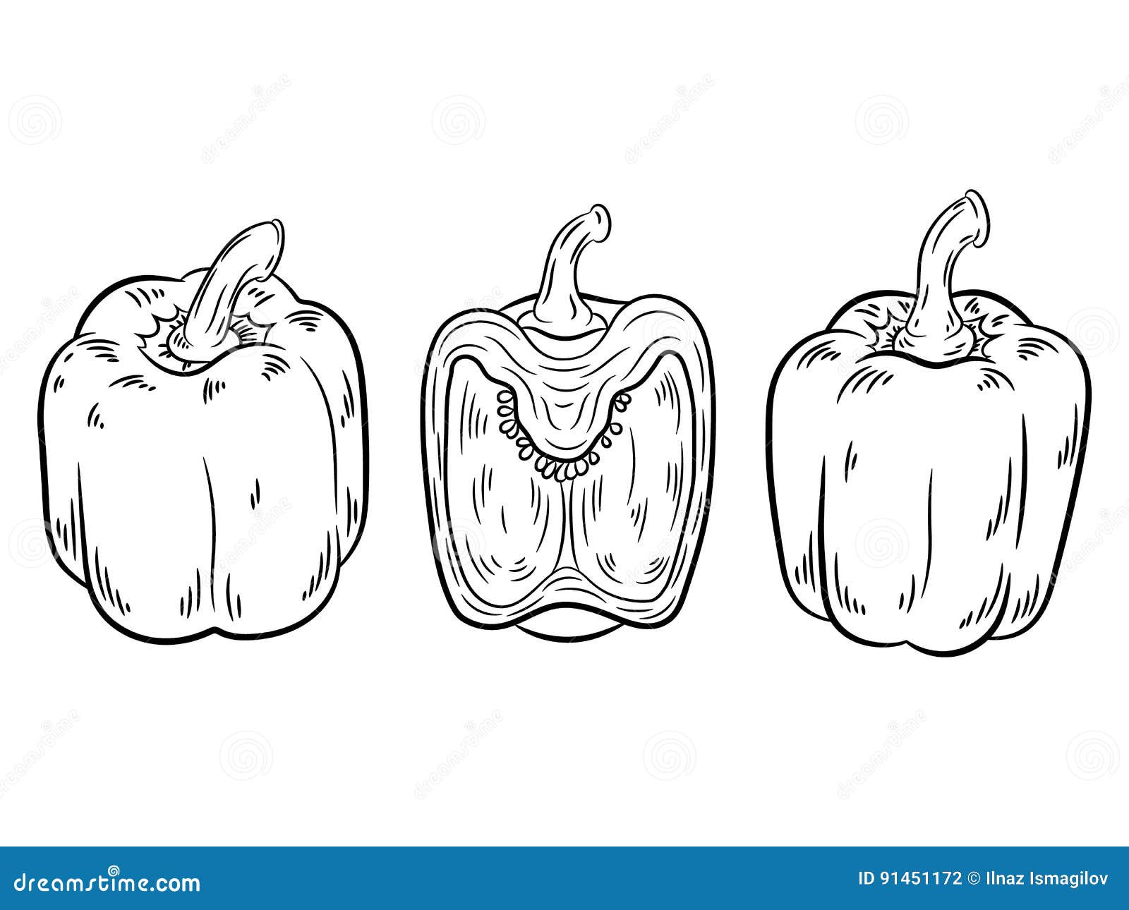 Desenho Da Pimenta Isolado No Fundo Branco Ilustração do Vetor ...